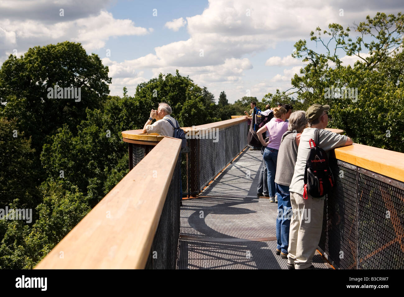 Tree top walk, Kew Gardens Stock Photo - Alamy