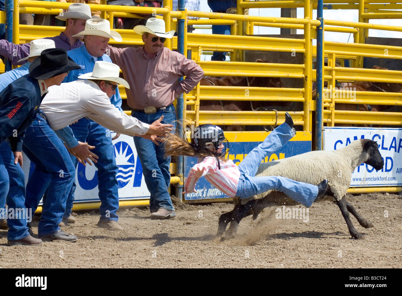 Helping cowboy hi-res stock photography and images - Alamy