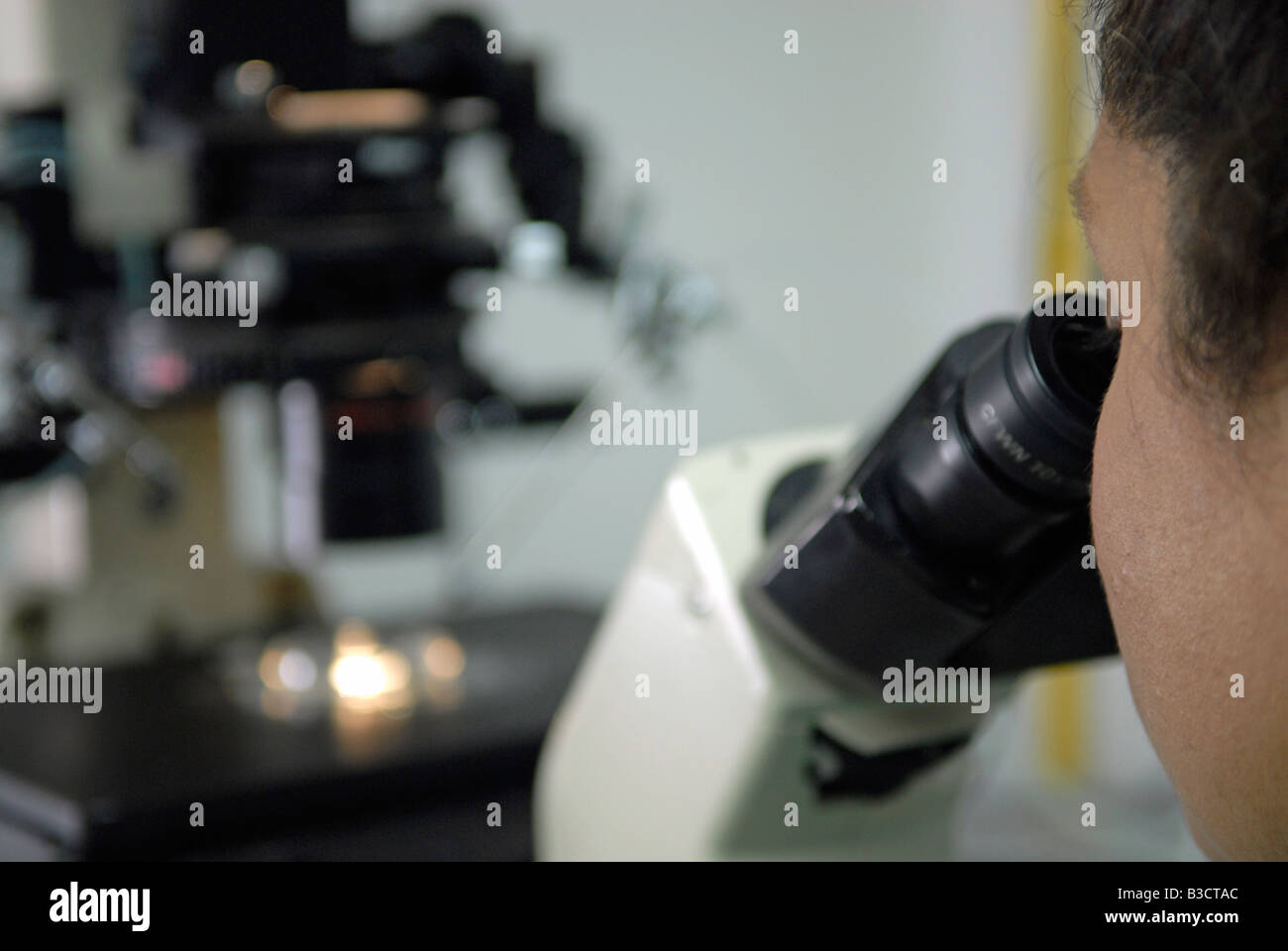 Embryologist looking at embryos through microscope at the fertility ...