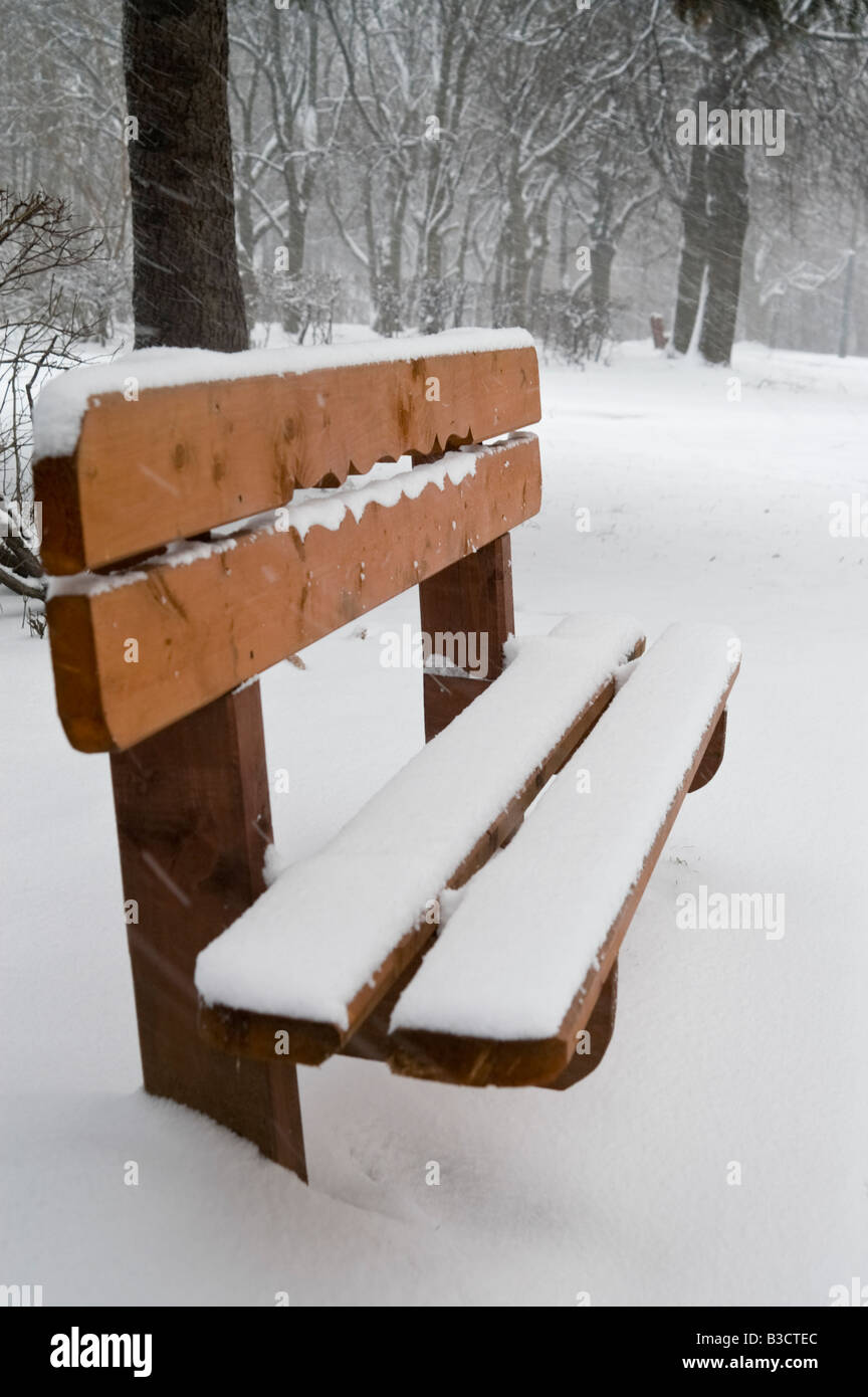A bench covered with snow in a winter park Stock Photo - Alamy