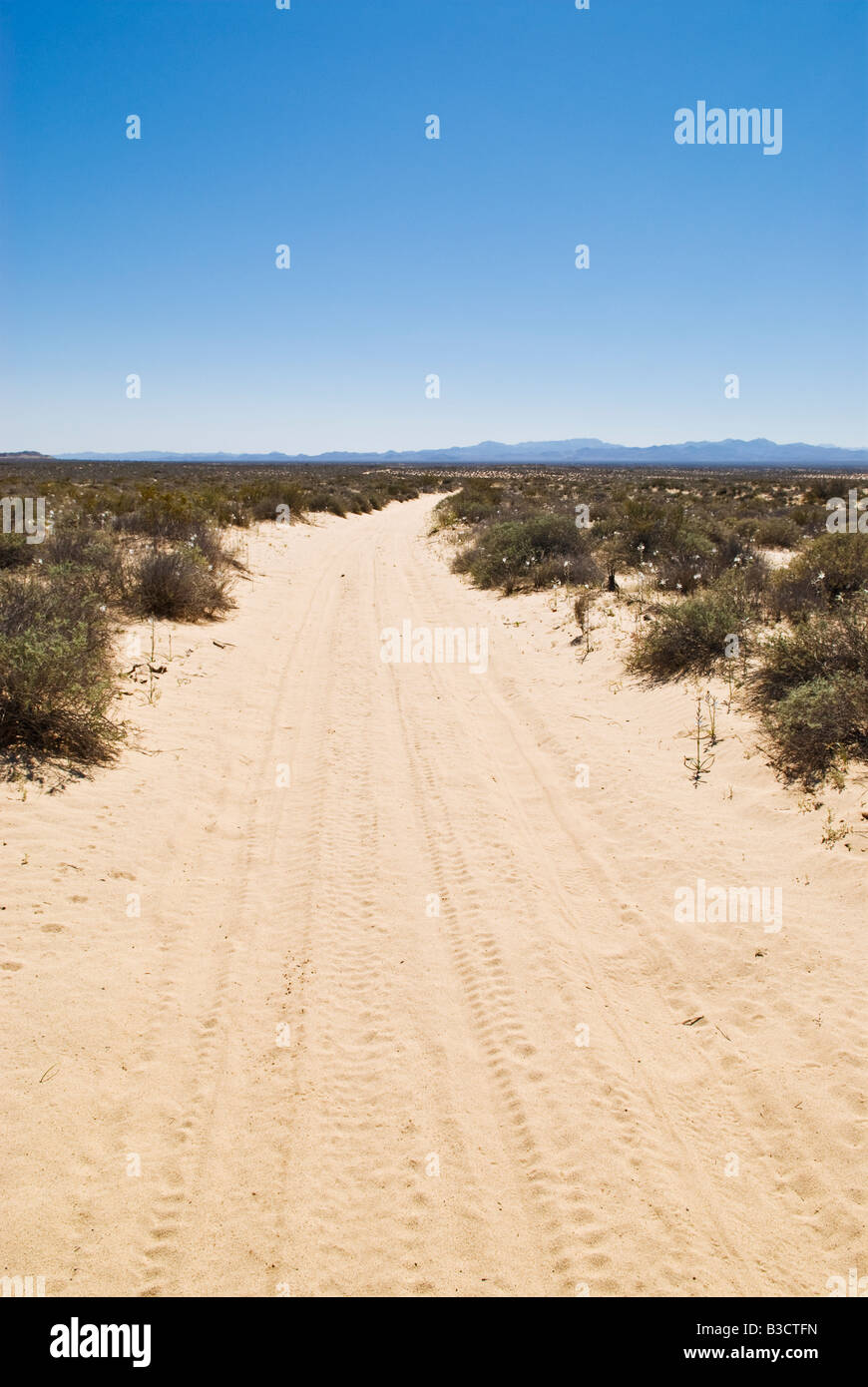 Sandy desert road South of San Felipe, Baja California, Mexico Stock ...