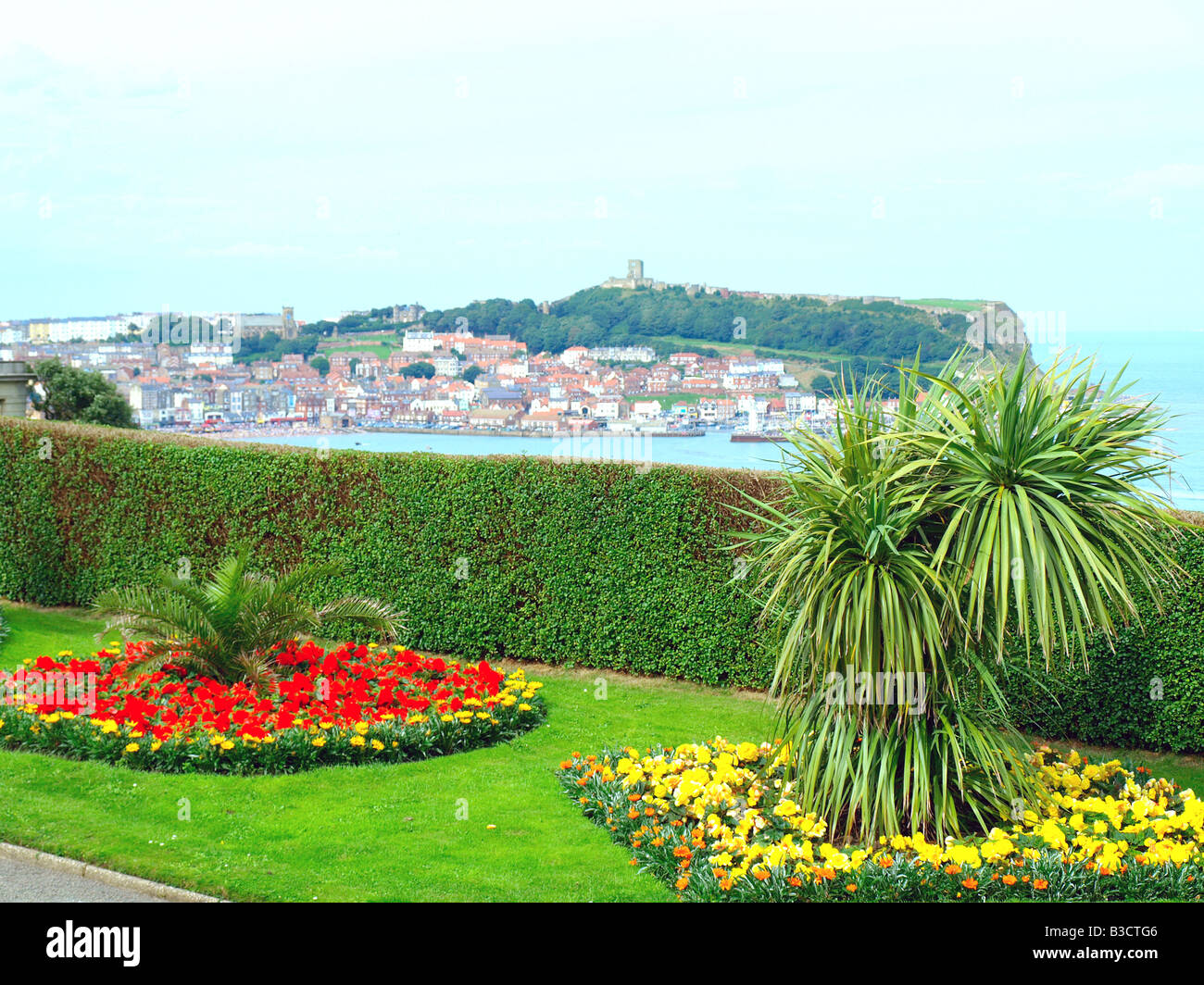 Scarborough castle flowers hi-res stock photography and images - Alamy