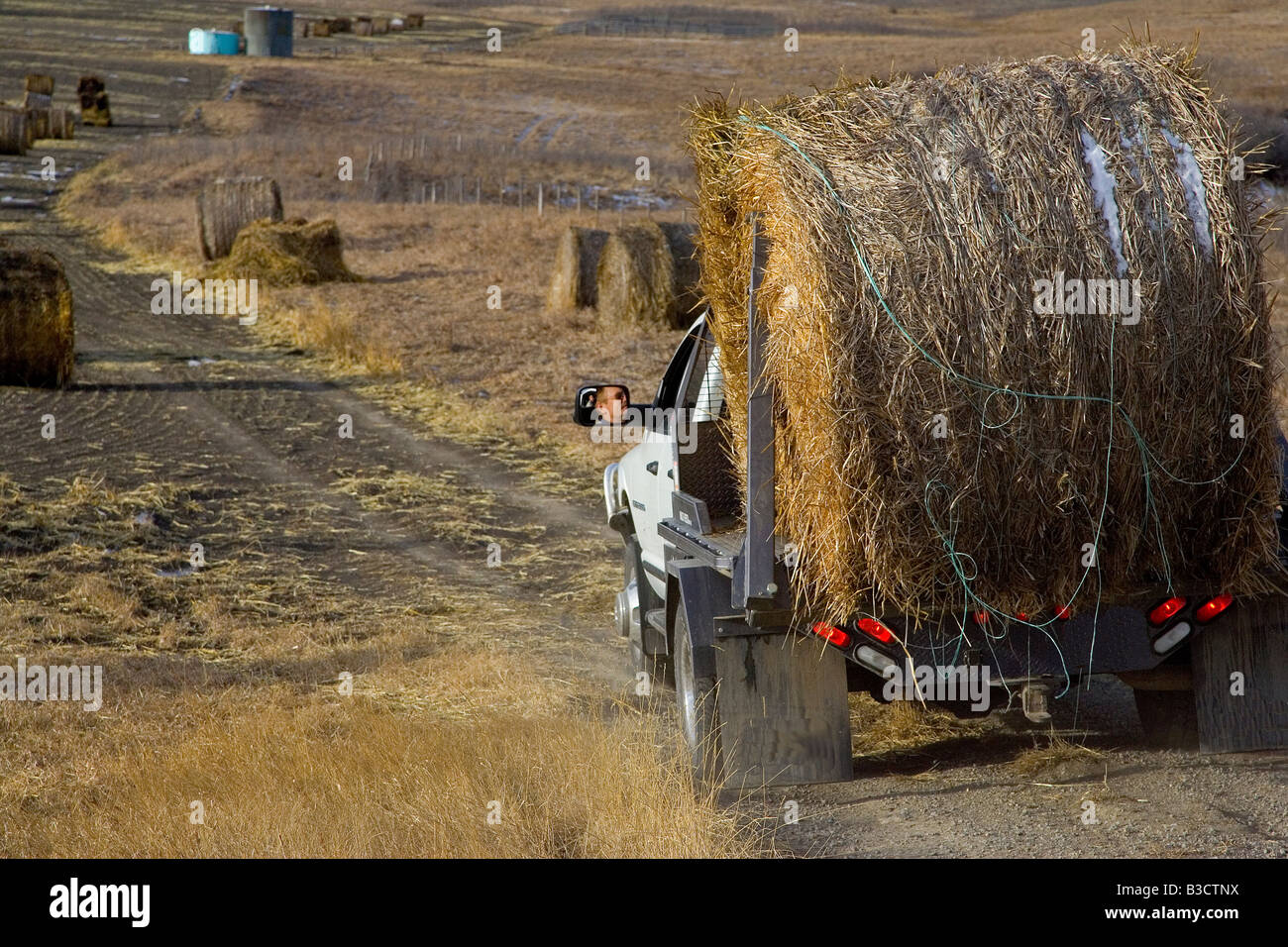 Truck delivering hay Stock Photo - Alamy