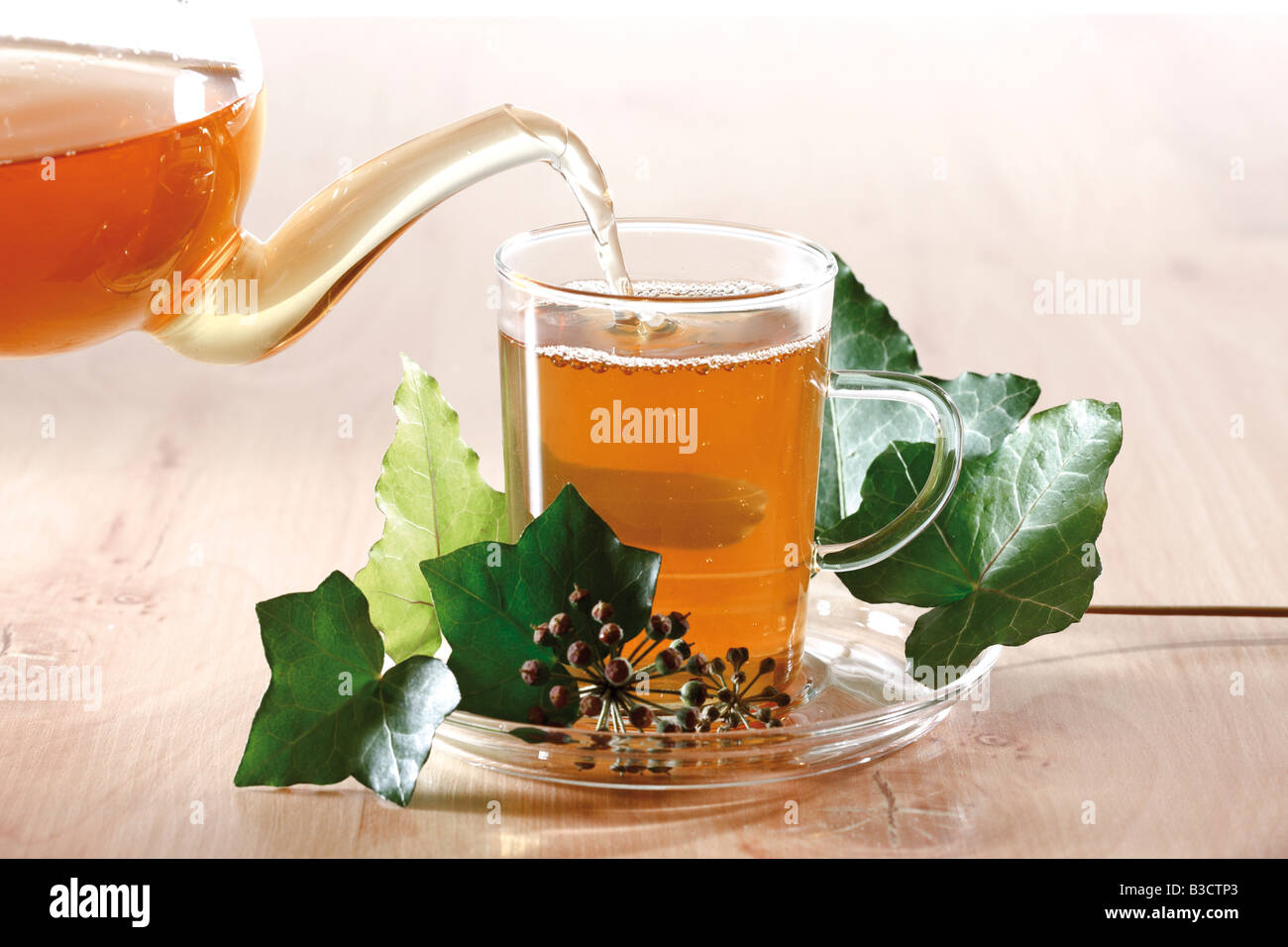 Ivy Tea ((Hedera helix Stock Photo - Alamy