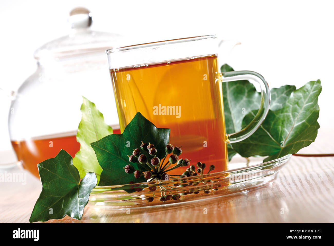 Ivy Tea ((Hedera helix Stock Photo - Alamy