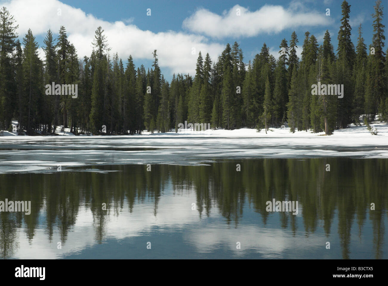 Snowy early spring reflection at Lassen National Park Stock Photo - Alamy