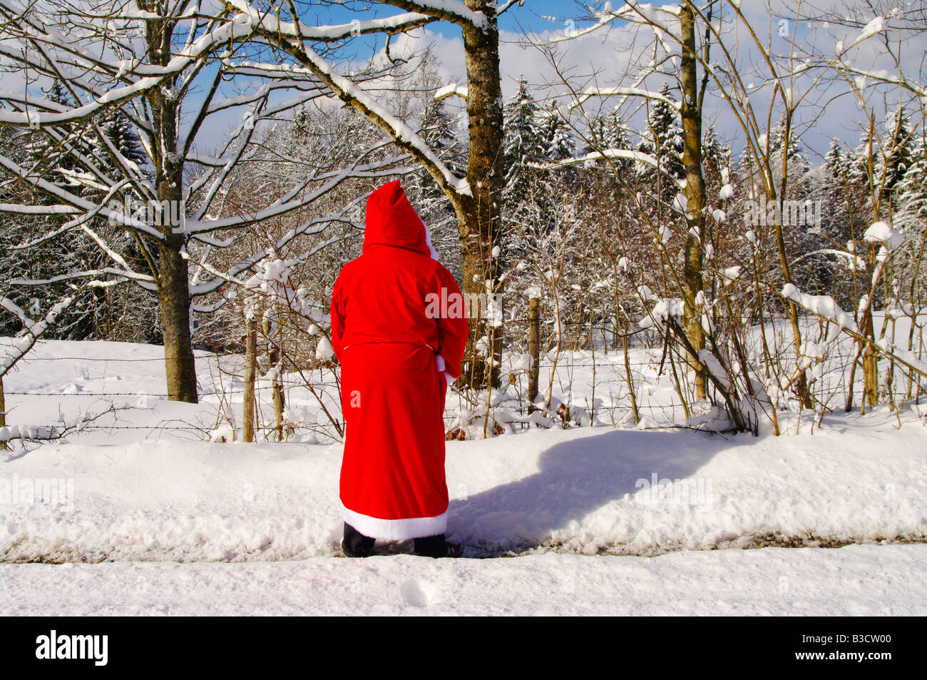 Santa Claus Father Christmas in a beautiful winter landscape Stock ...