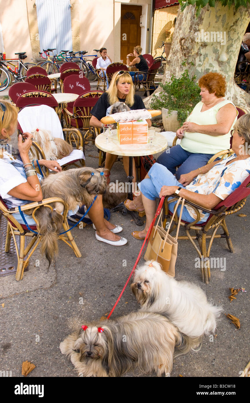 Europe France Provence Malaucene local women and their dogs meeting in ...