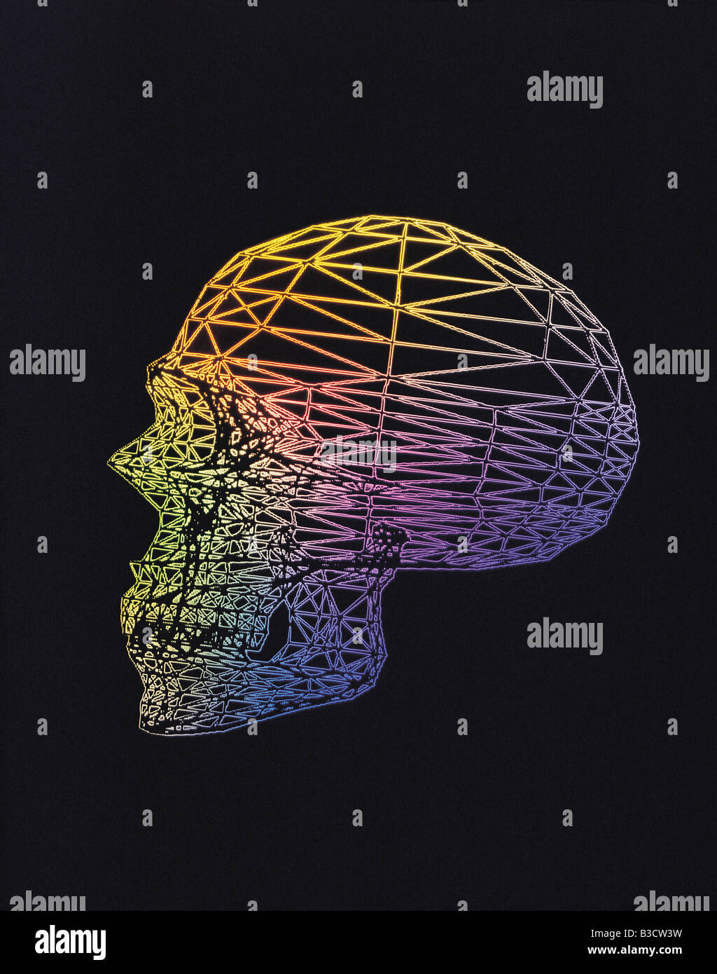 Skull Lines High Resolution Stock Photography and Images - Alamy