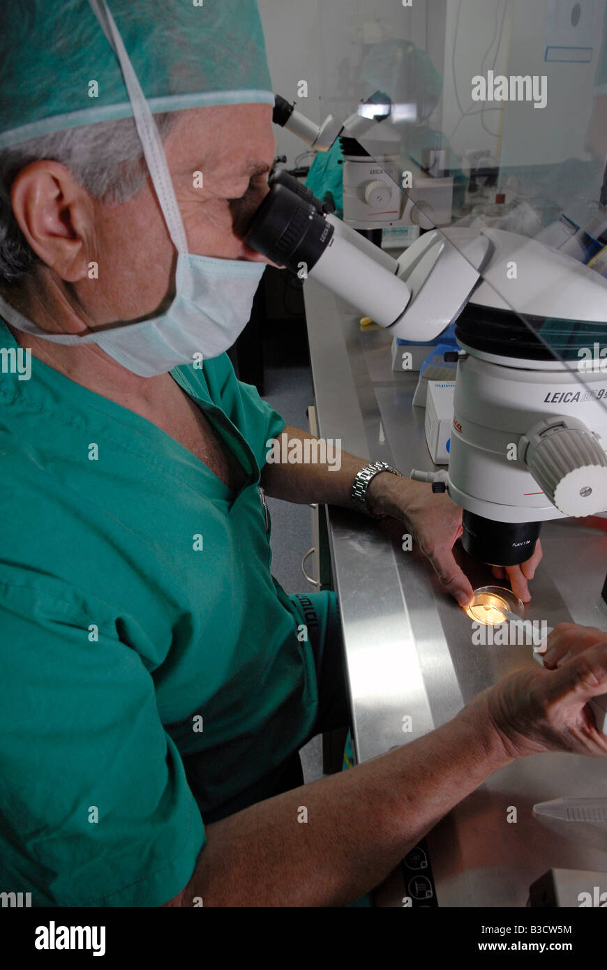 Embryologist placing embryo on a culture dish during Vitrification ...