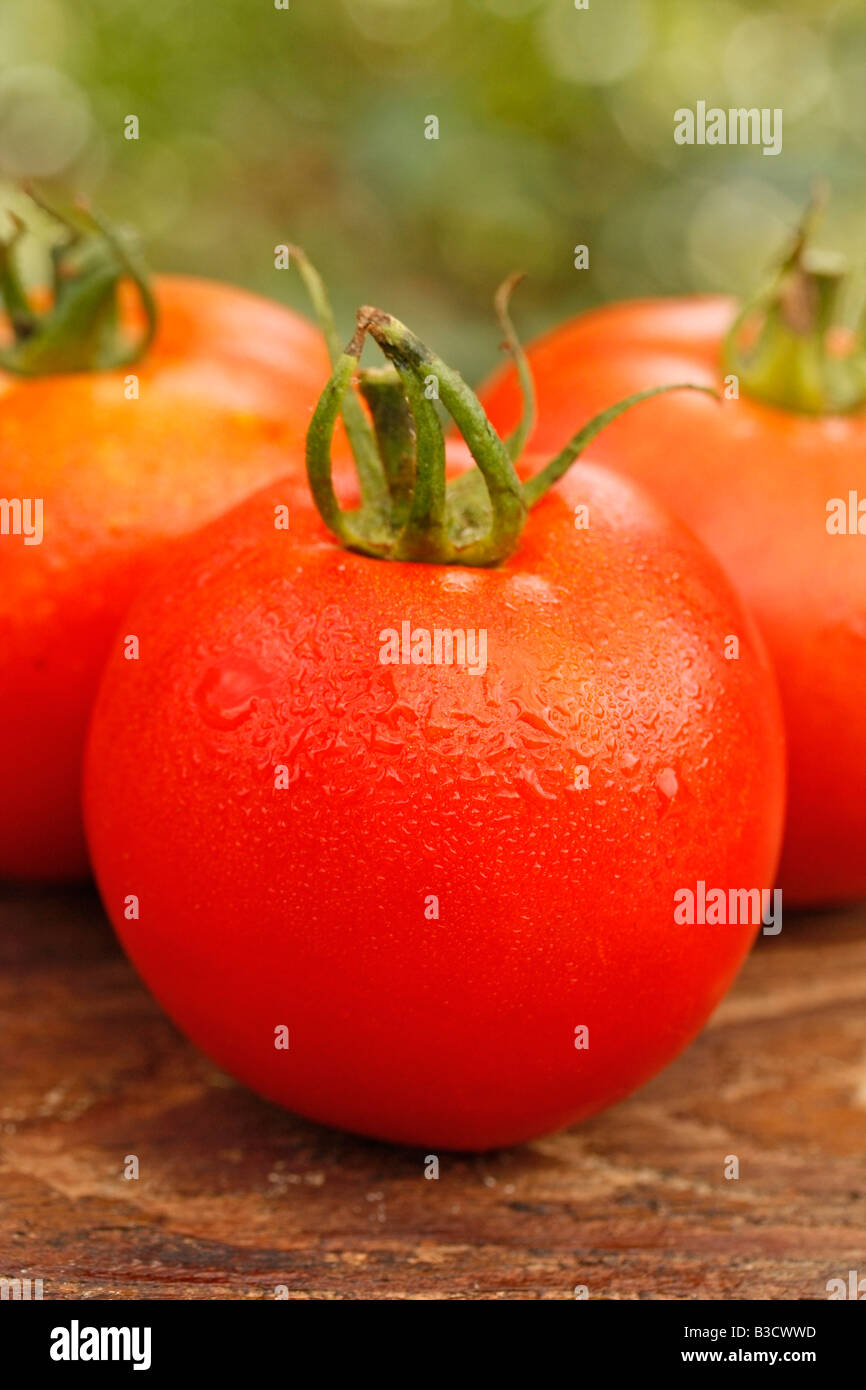 Tomatoes in natural background Stock Photo - Alamy