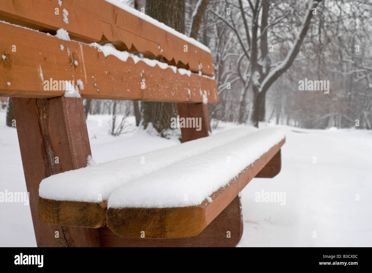 A bench covered with snow in a winter park Stock Photo - Alamy