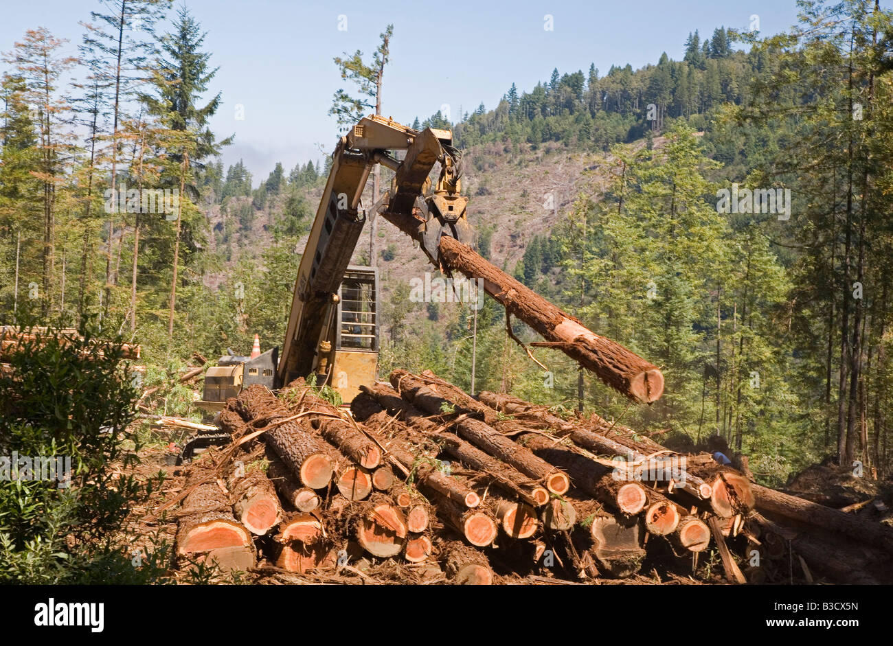 Logging Industry Redwood Trees Stock Photos & Logging Industry Redwood ...