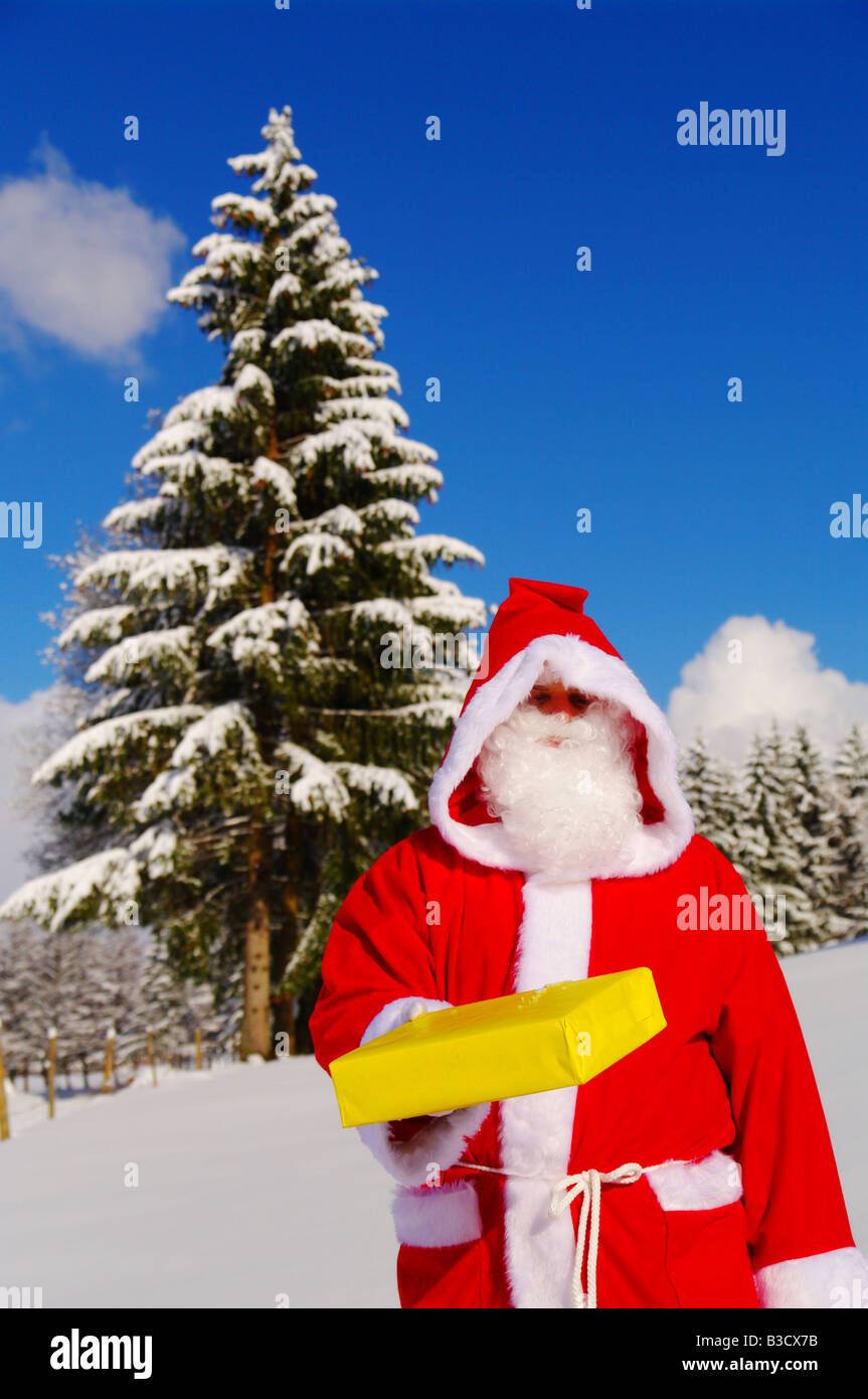 Santa Claus Father Christmas in a beautiful winter landscape Stock ...