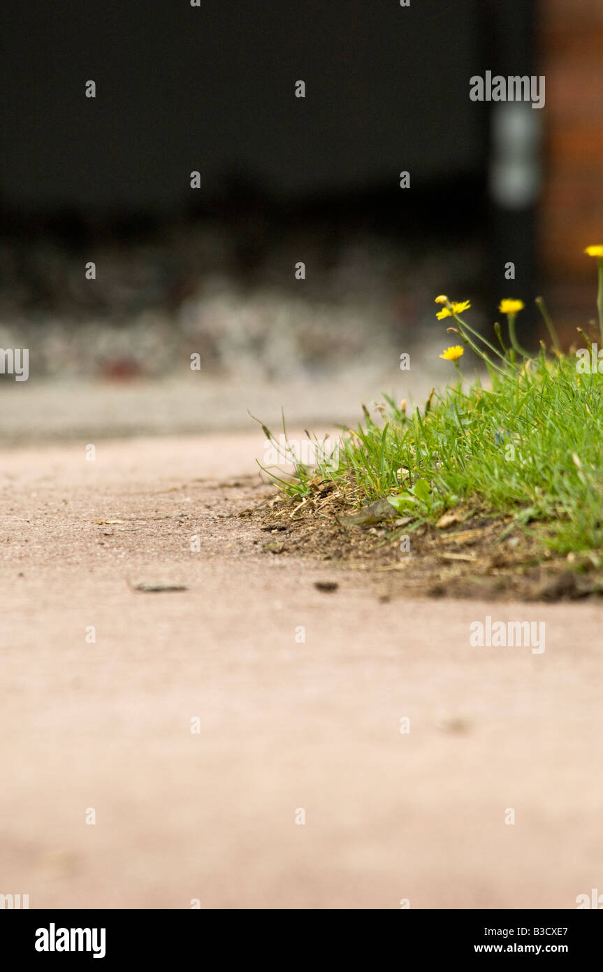 Path grass border hi-res stock photography and images - Alamy