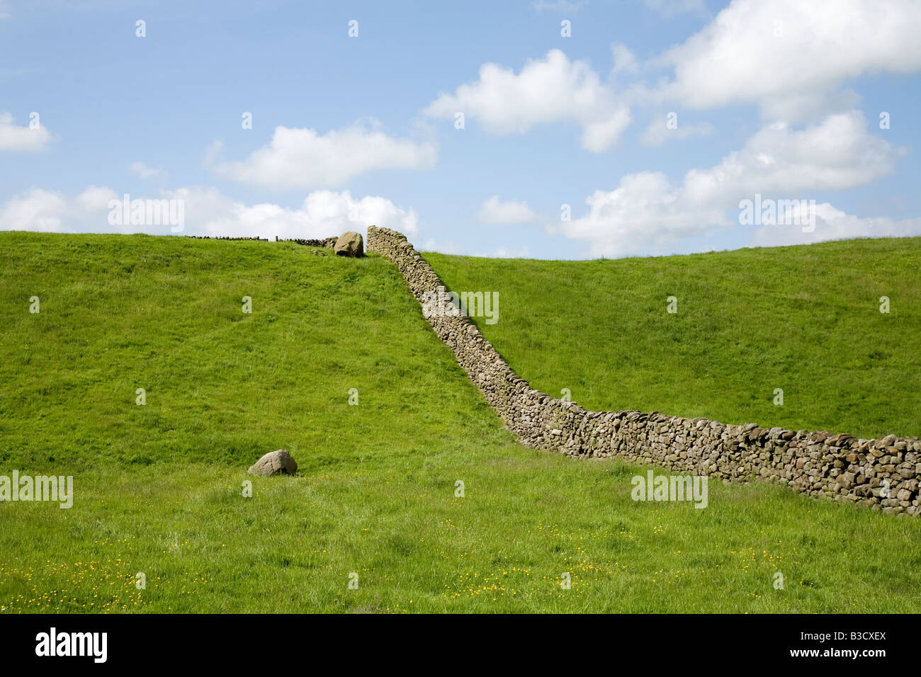 Traditional stone wall over farmland near Lancaster Stock Photo - Alamy