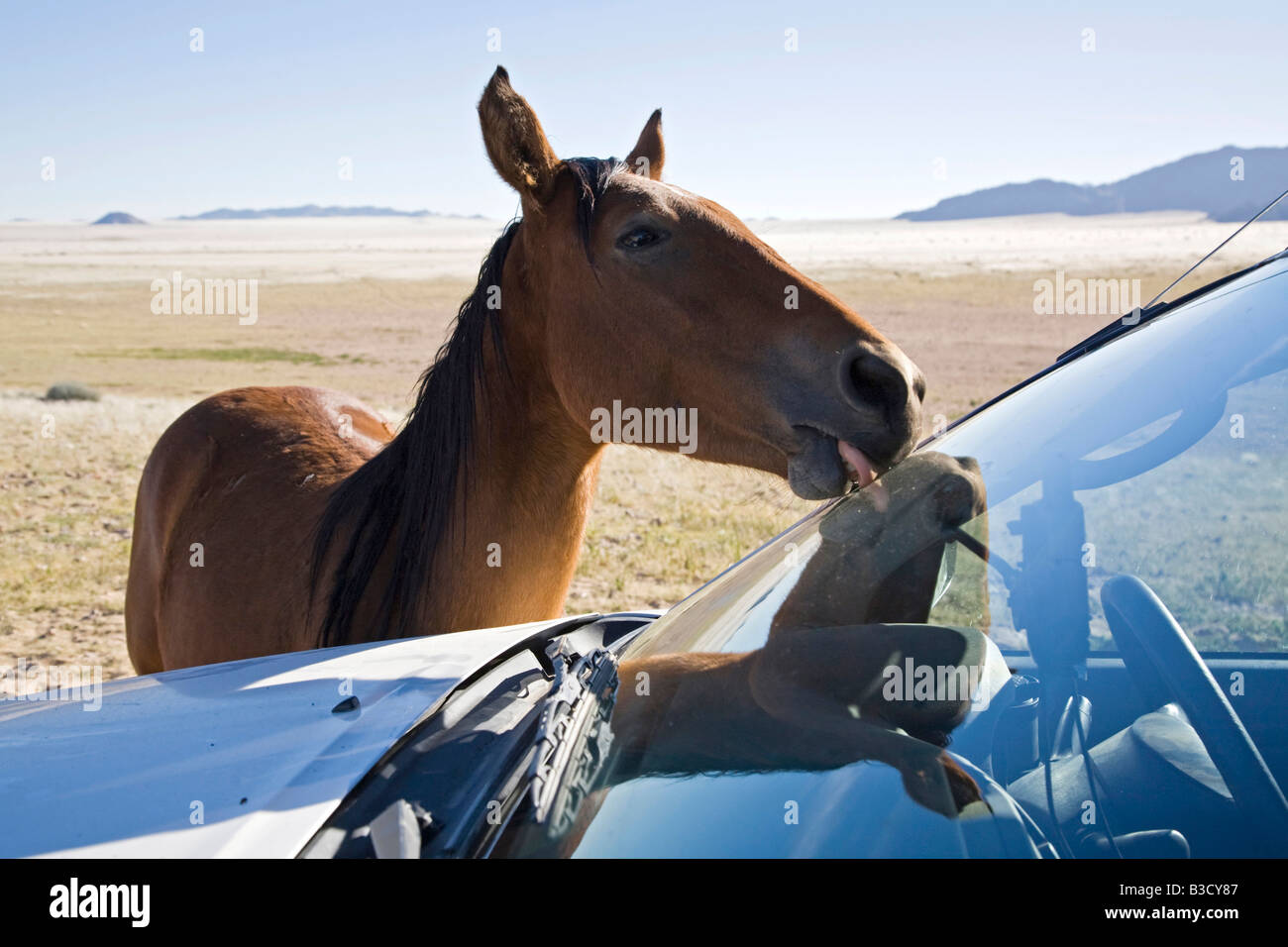Transport people in wild nature hi-res stock photography and images - Alamy