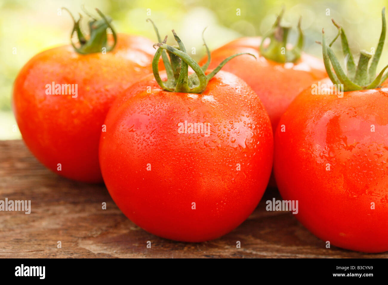 Tomatoes in natural background Stock Photo - Alamy
