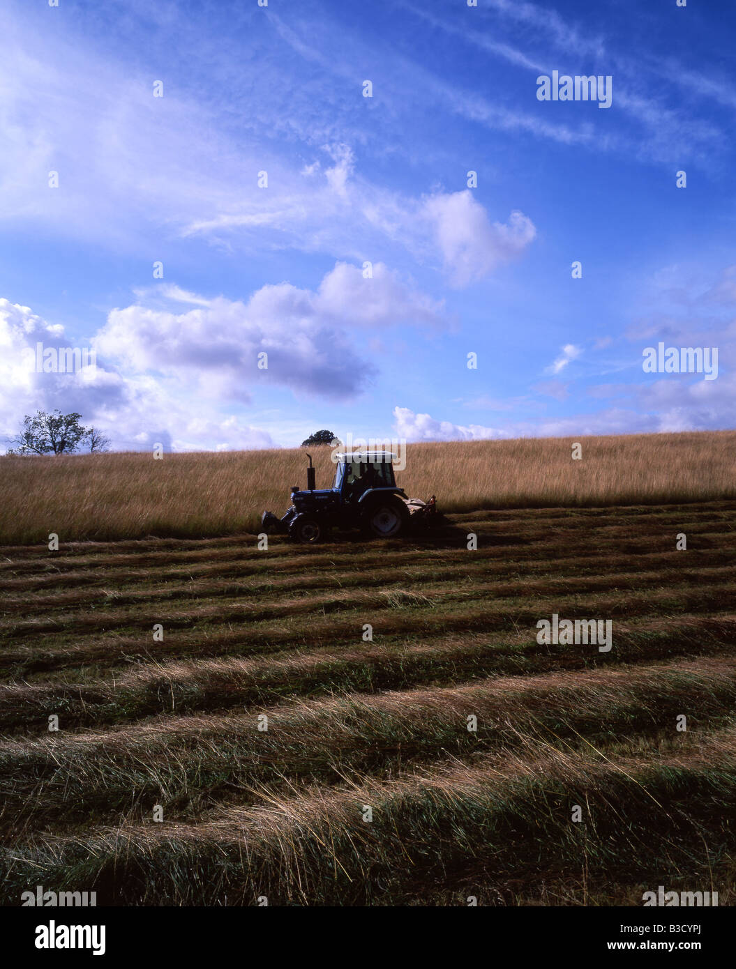 Crops hay hi-res stock photography and images - Alamy