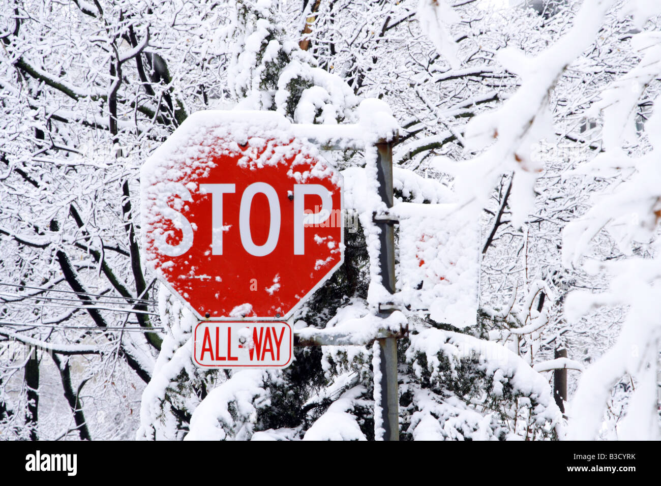 Snow covered traffic stop sign in residential area in Toronto during ...