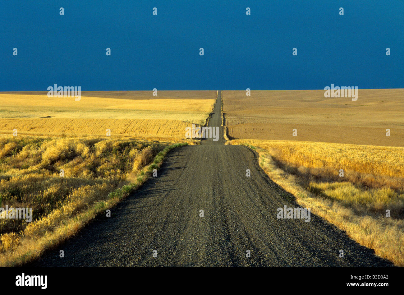 Gravel dirt road stretching into the horizon in Eastern Washington ...
