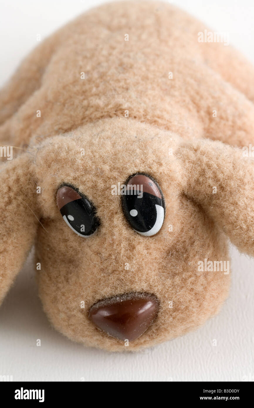 A sad toy dog Stock Photo - Alamy