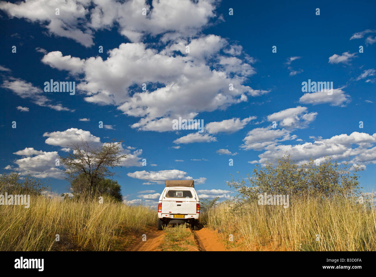 Safari south africa jeeps hi-res stock photography and images - Alamy