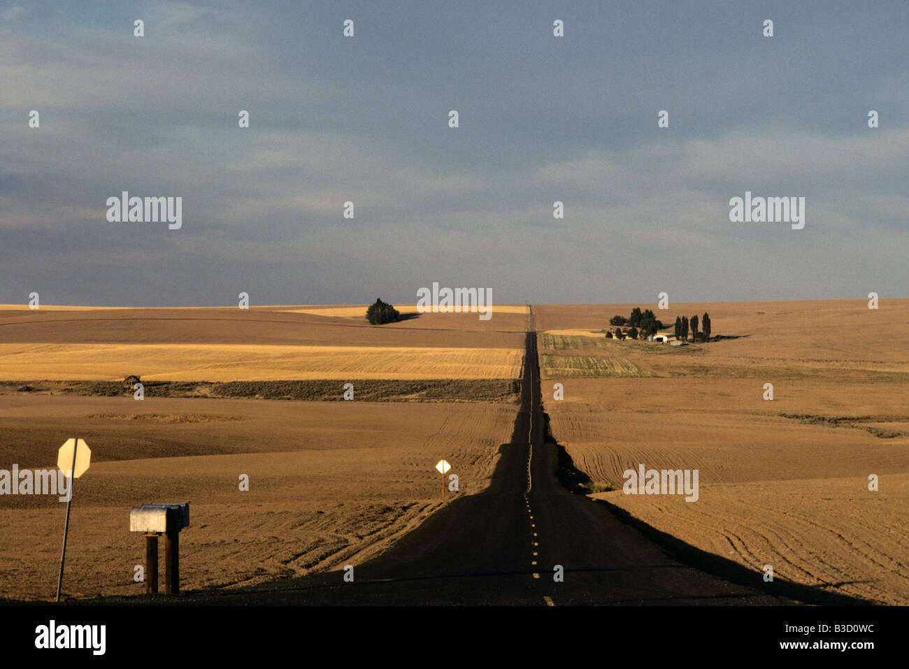 Paved road stretching into the horizon in Eastern Washington sunset ...