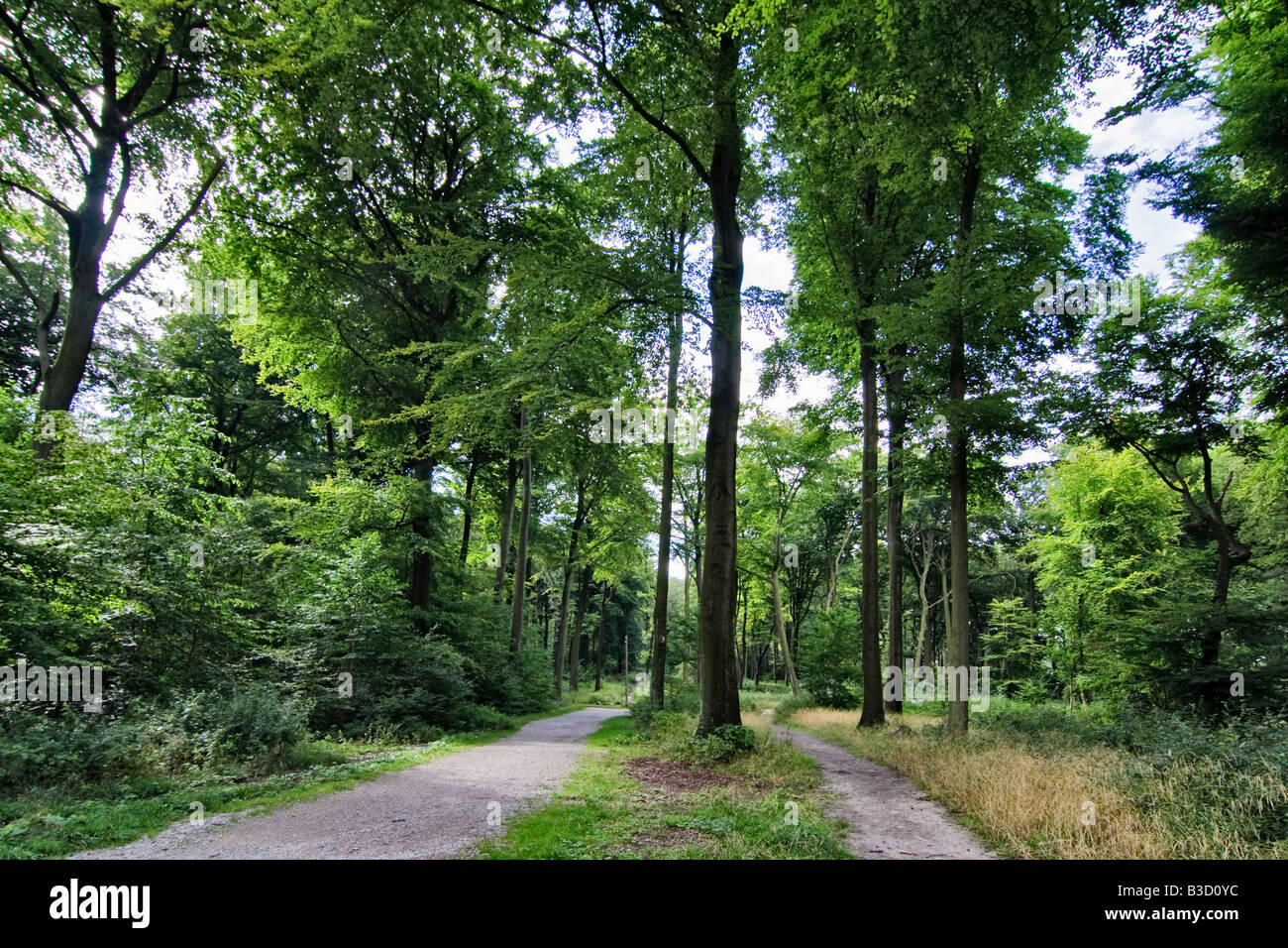 Essen roads hi-res stock photography and images - Alamy