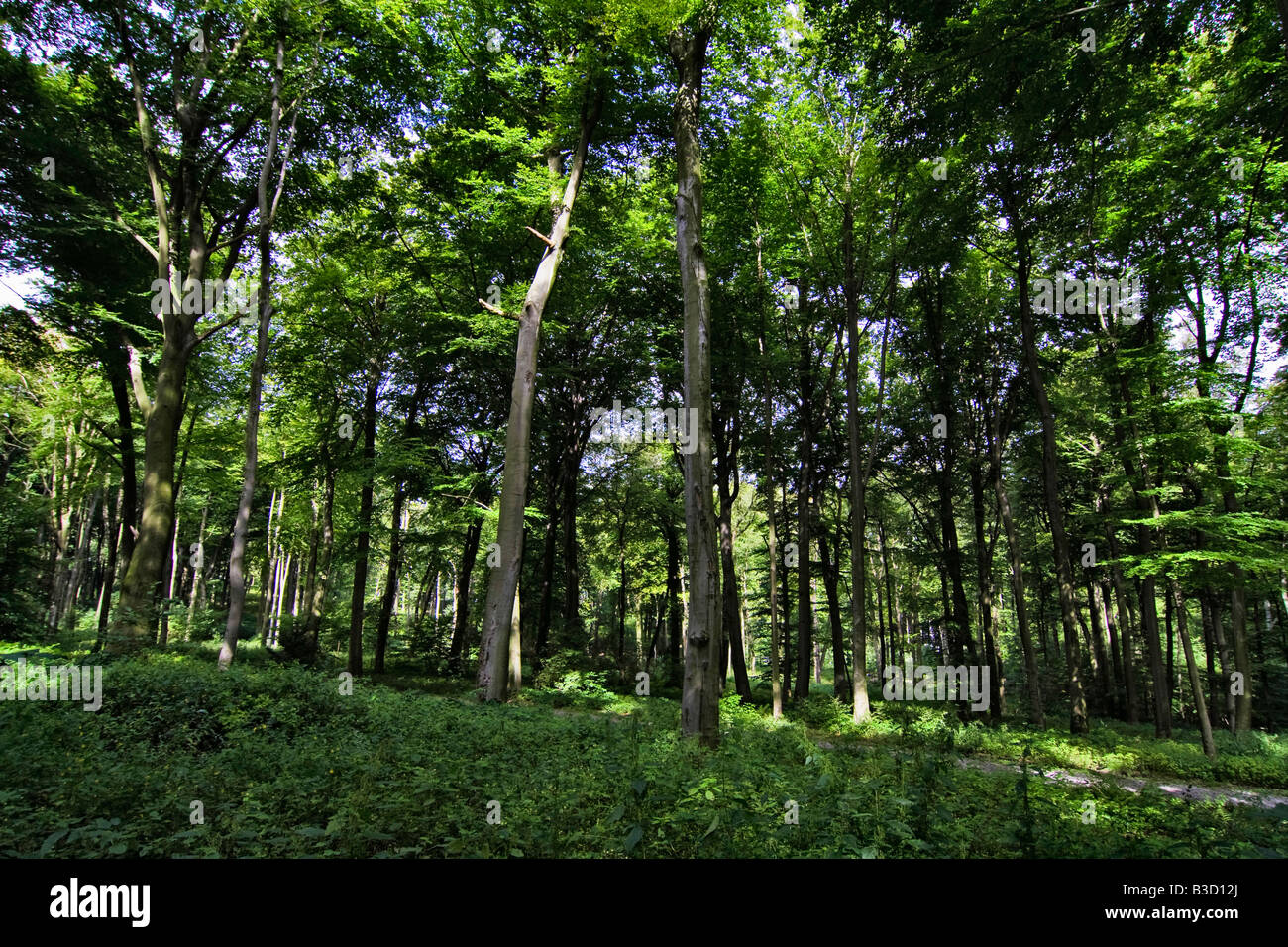 Essen roads hi-res stock photography and images - Alamy