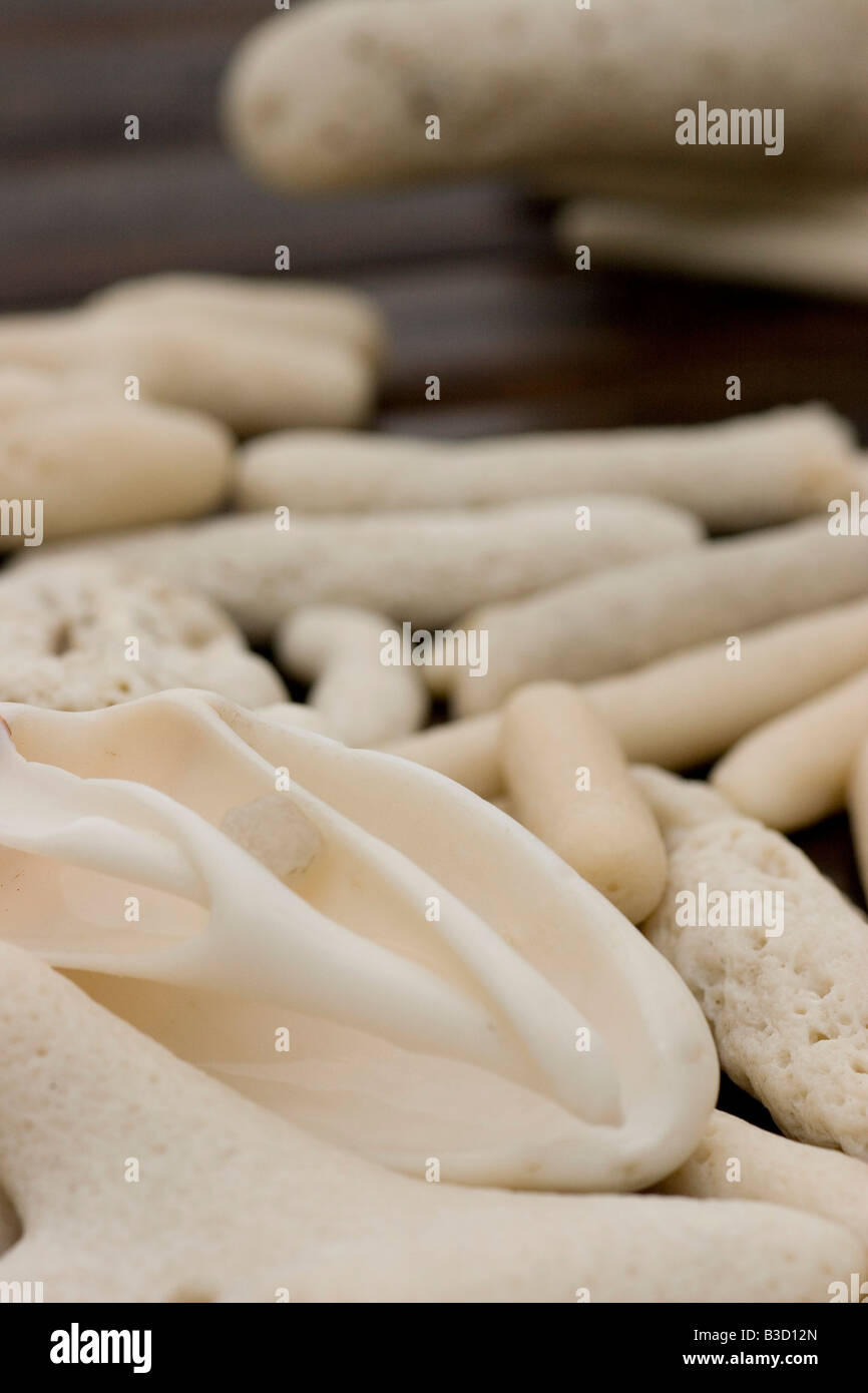 Close up group mussels on hi-res stock photography and images - Alamy