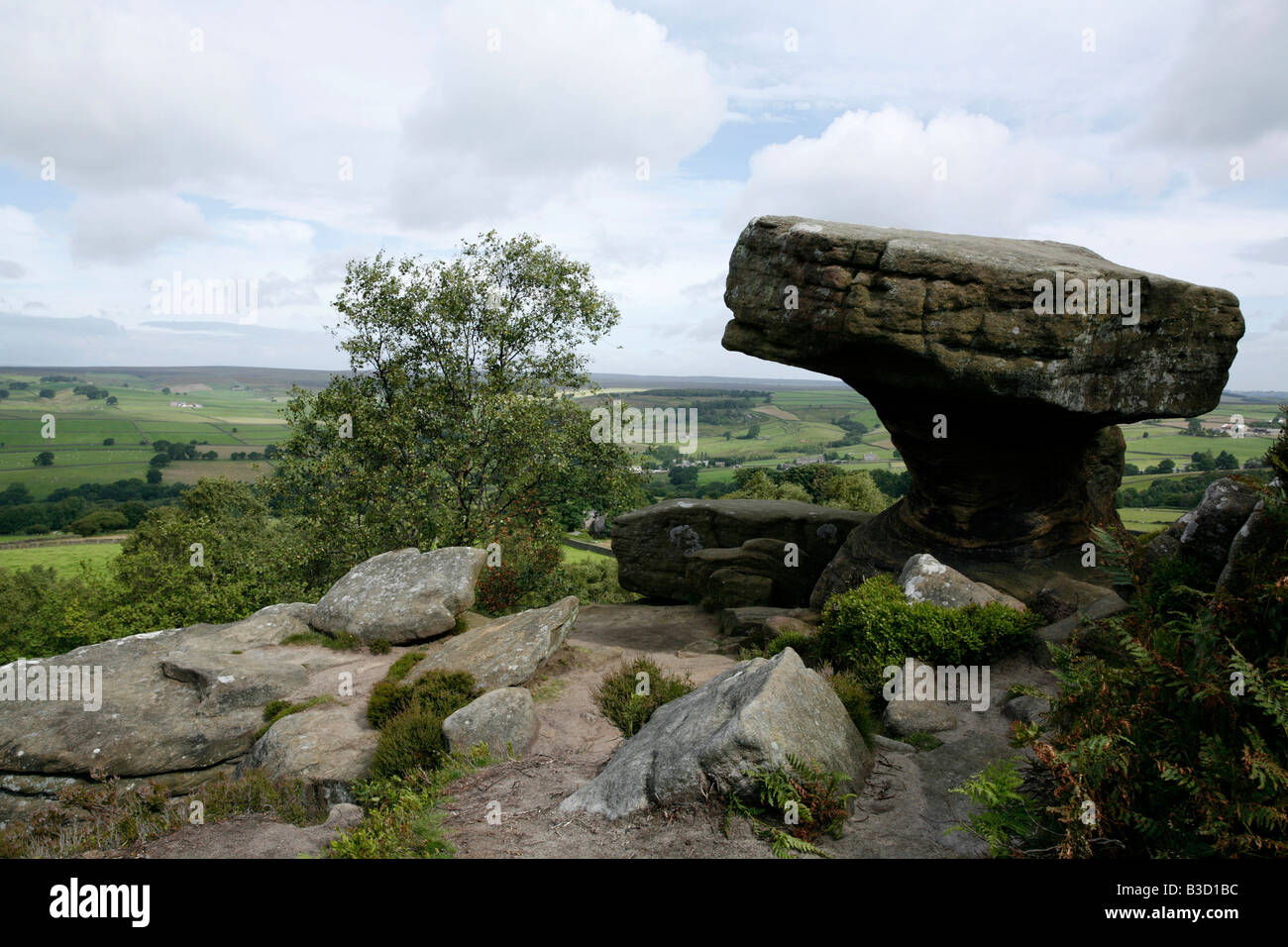 Brimham Rocks in Yorkshire Stock Photo - Alamy