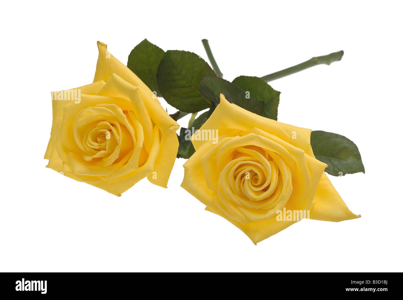 Horizontal colour photo Cut Out Stock Images & Pictures - Alamy