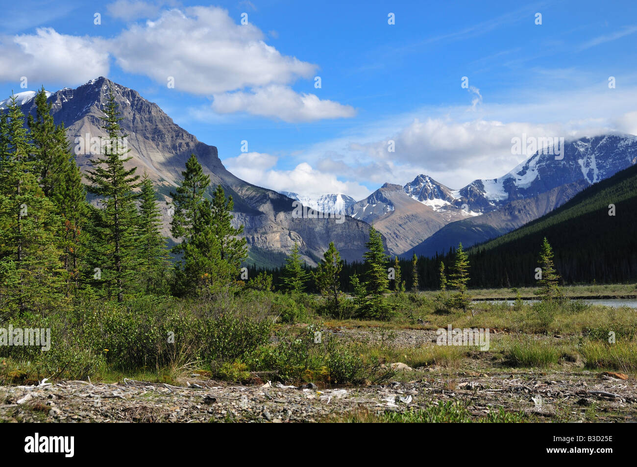 Canadian Rockies, Jasper National Park, Alberta, Canada Stock Photo - Alamy
