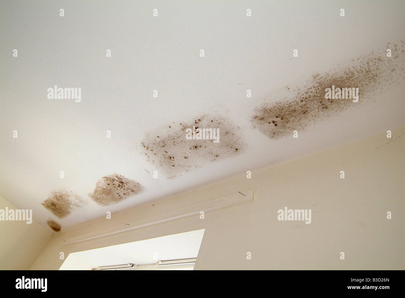 Squalid social housing in Tower Hamlets London England Stock Photo - Alamy