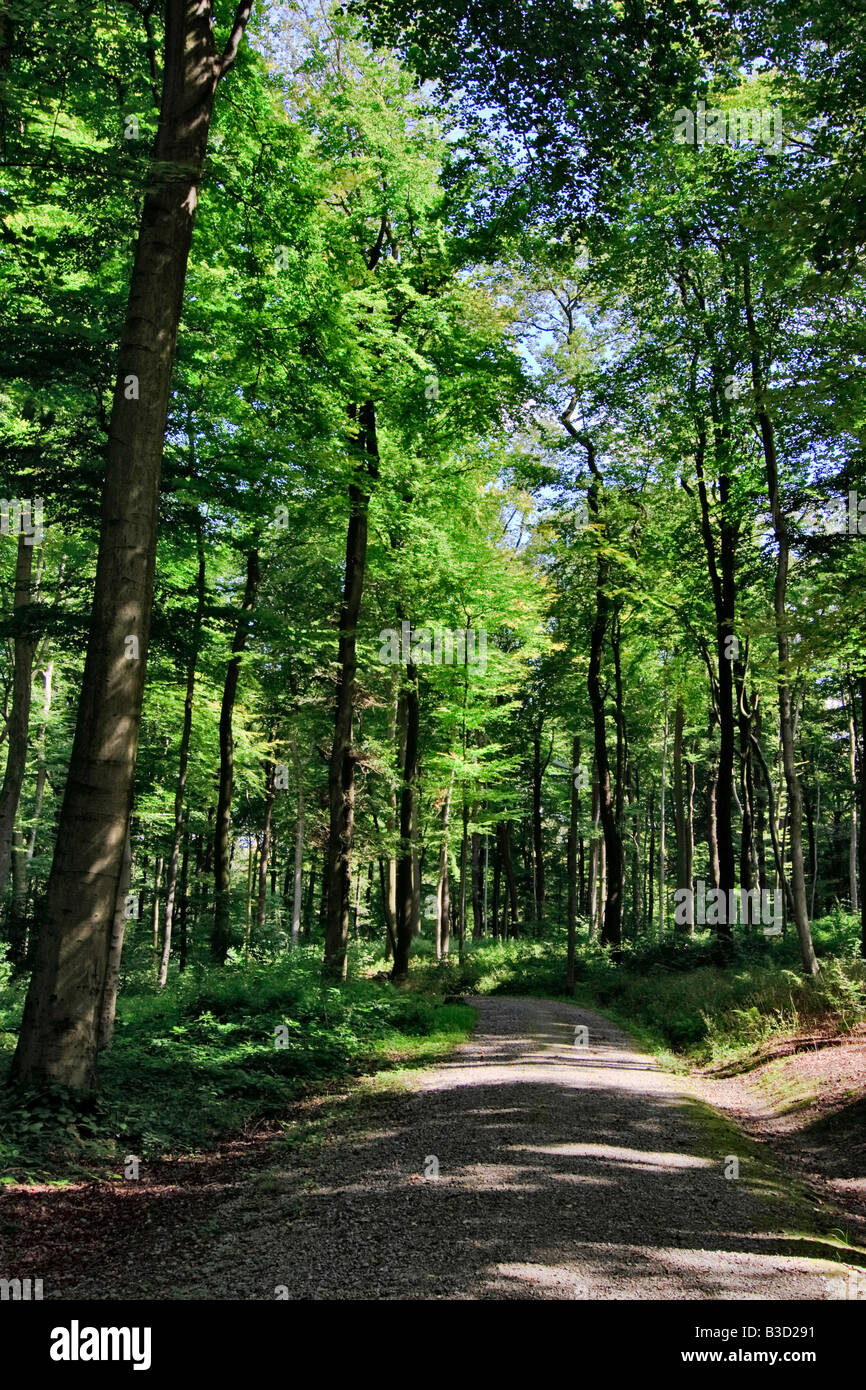 Essen roads hi-res stock photography and images - Alamy