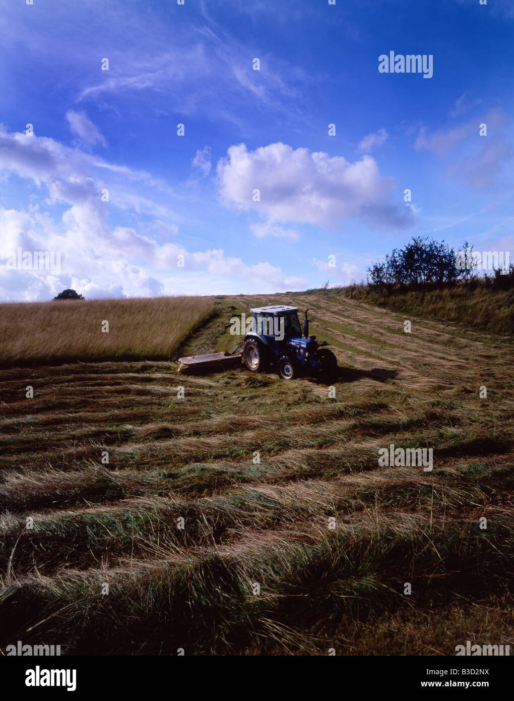 Crops hay hi-res stock photography and images - Alamy