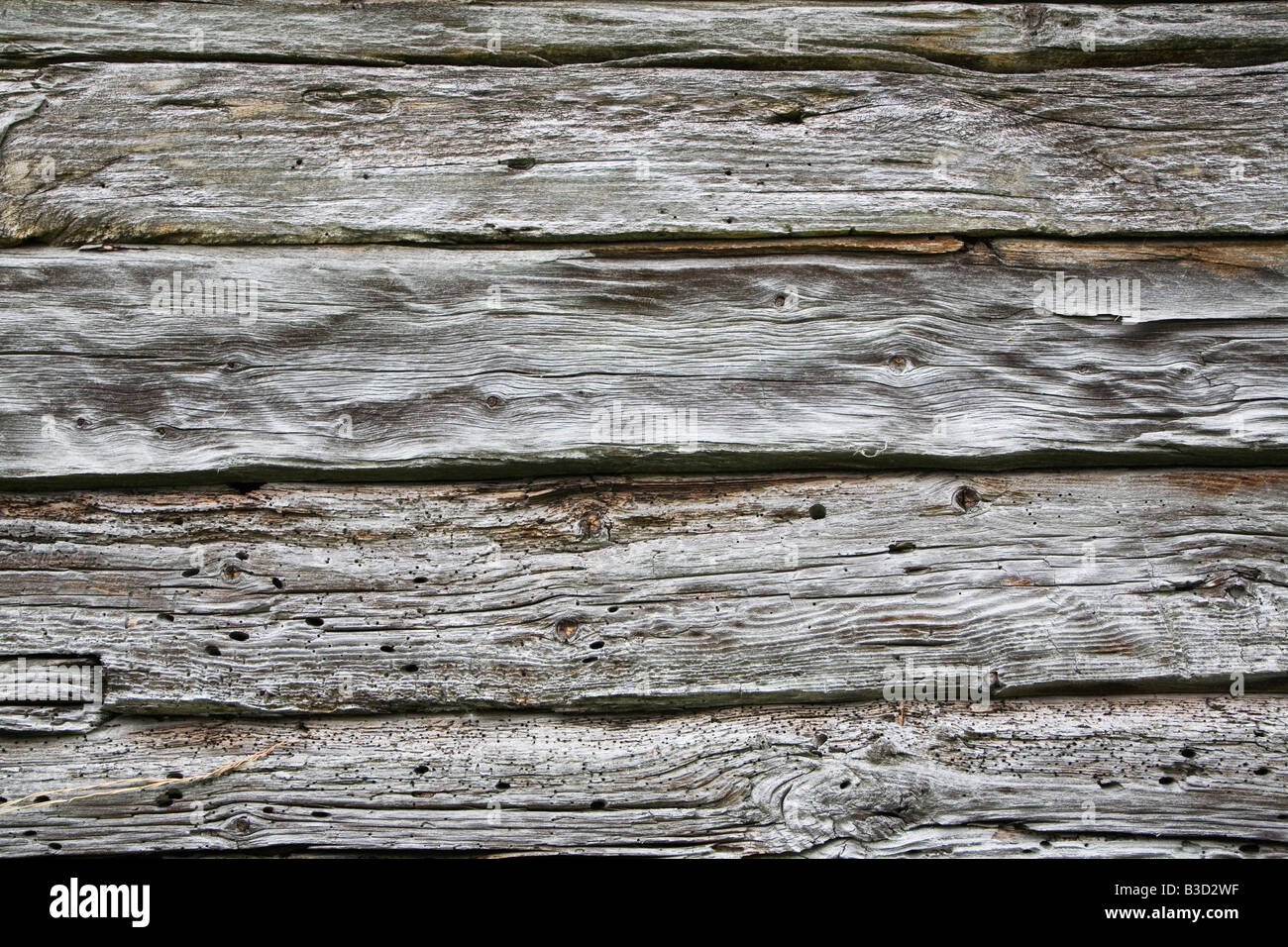 Front limber hi-res stock photography and images - Alamy