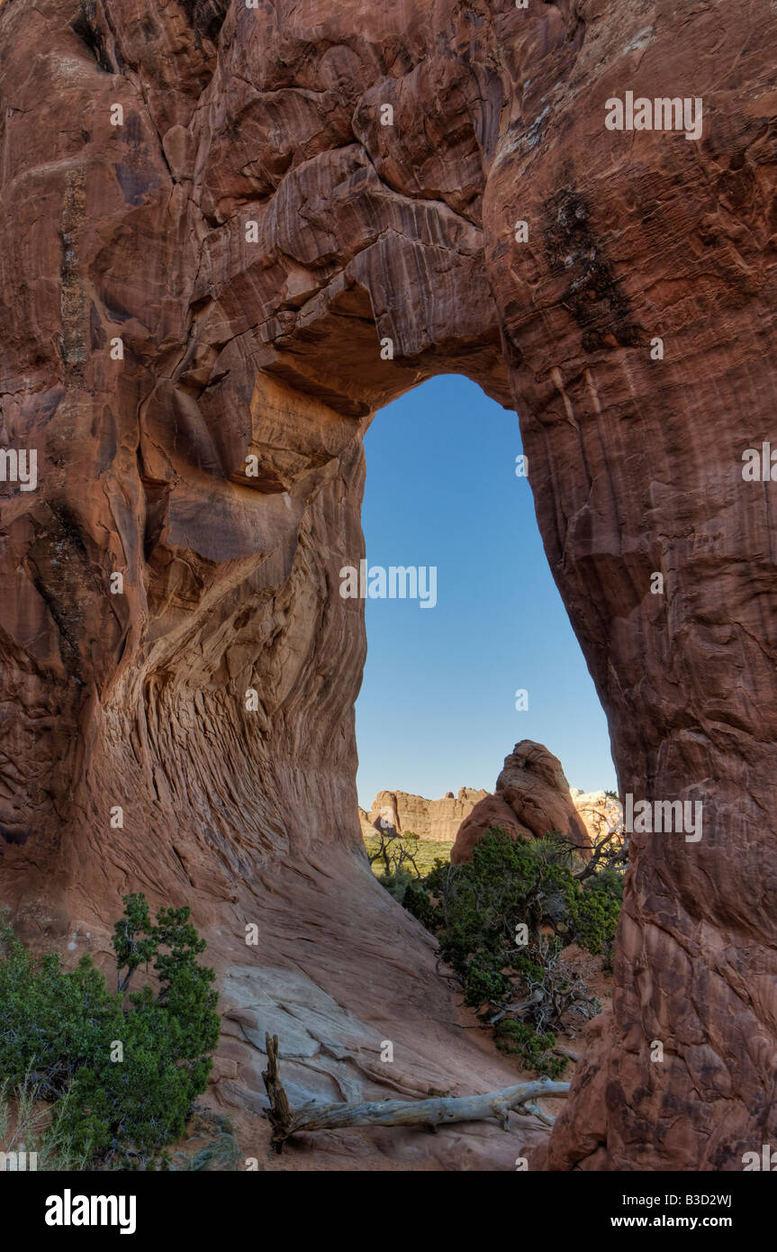 Pine Tree Arch in Arches National Park Utah Stock Photo - Alamy