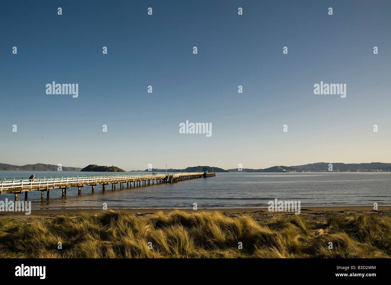 Petone Wharf Wellington New zealand looking across to Wellington City ...