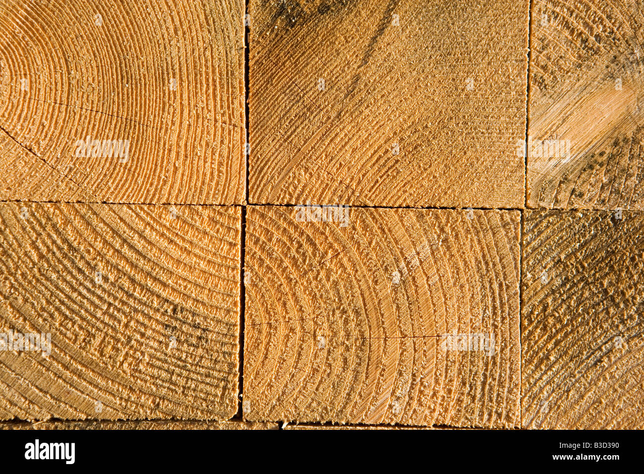 Soft wood, close-up Stock Photo - Alamy