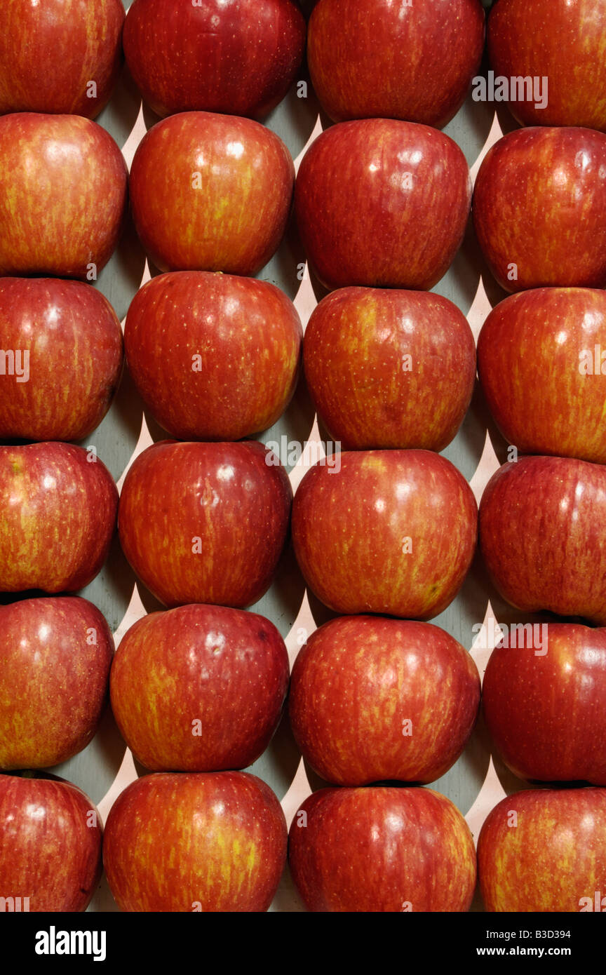 Display of Apples Stock Photo - Alamy