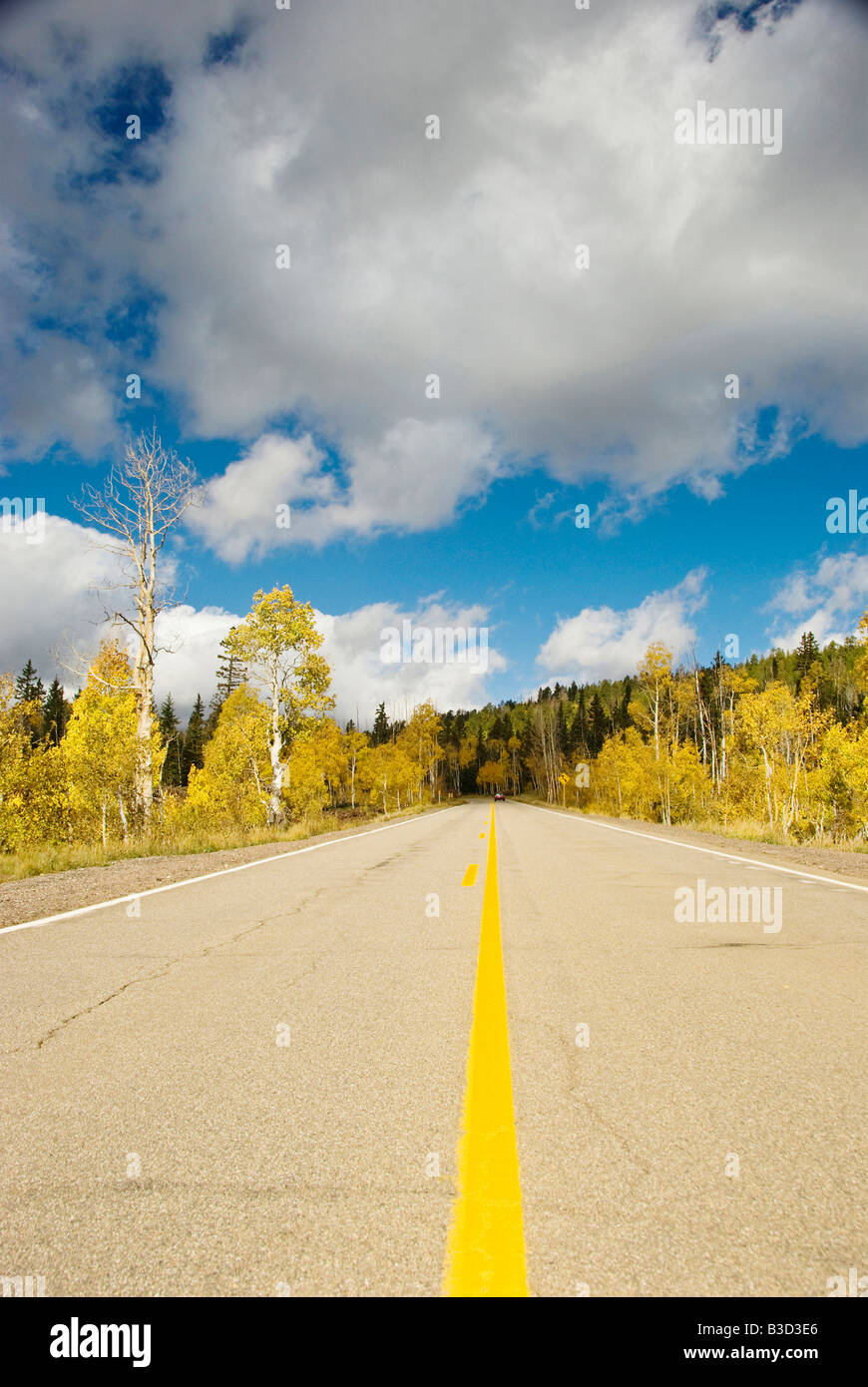 Cedar breaks national monument road hi-res stock photography and images ...
