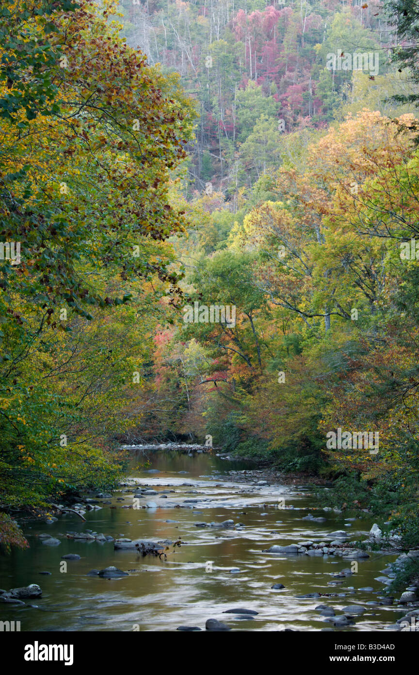 River Flowing through Early Autumn Forest in the Great Smoky Mountains ...