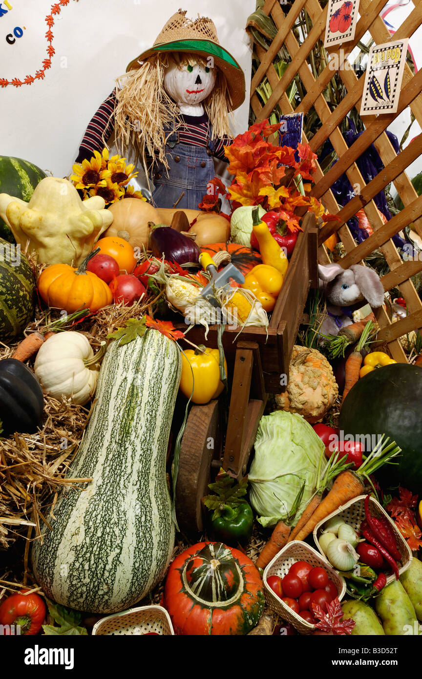 Cornucopia display hi-res stock photography and images - Alamy