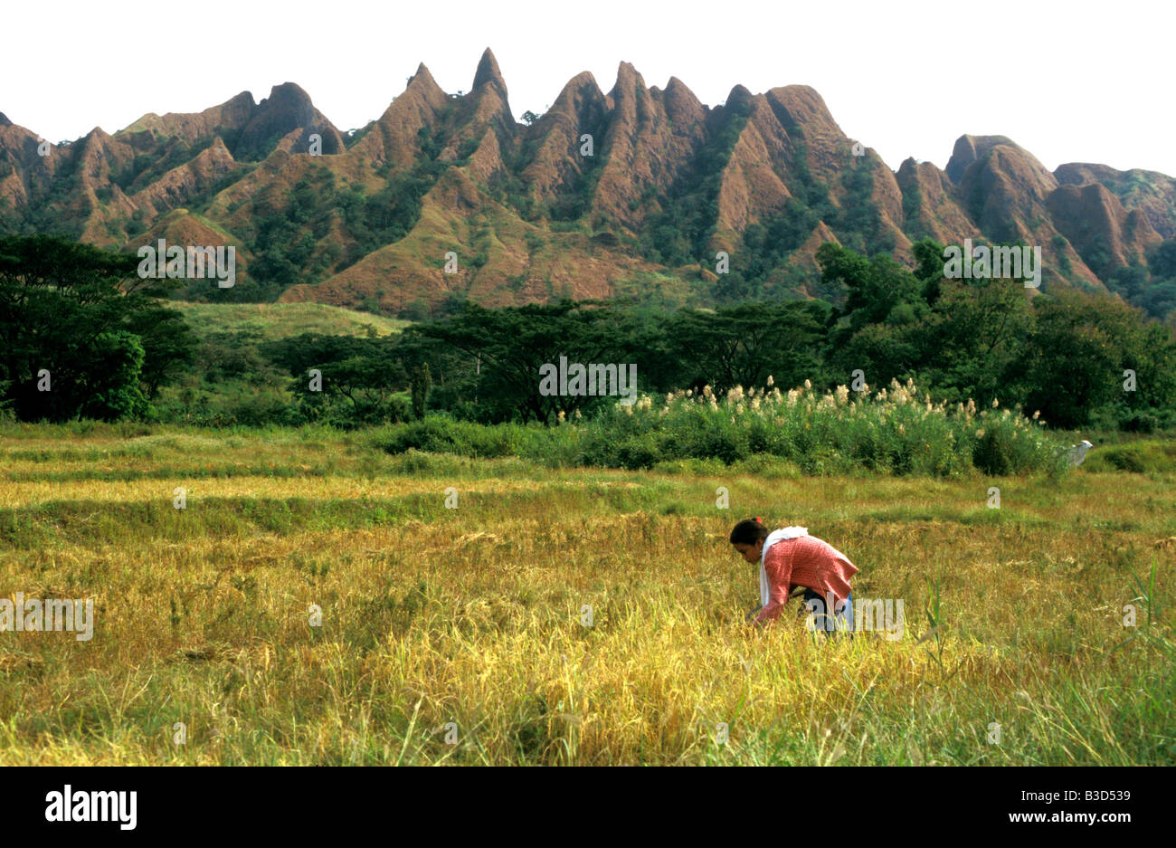 devils mountain mangyan tribal lands near san jose mindoro philippines ...