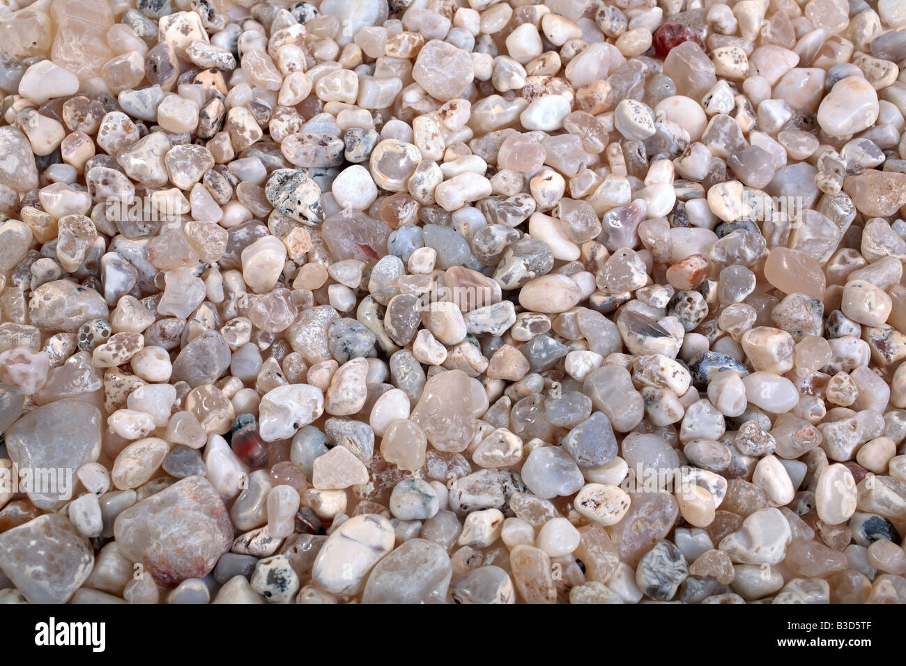 Nodule texture hi-res stock photography and images - Alamy