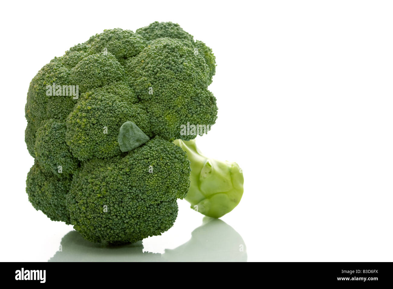Fresh green Broccoli Stock Photo - Alamy