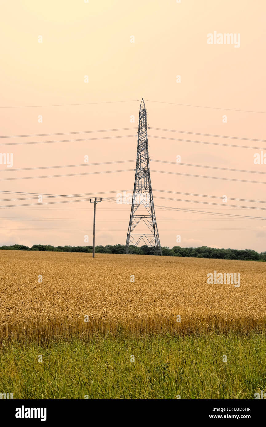 metal pylon carrying electricity supply power lines Stock Photo - Alamy