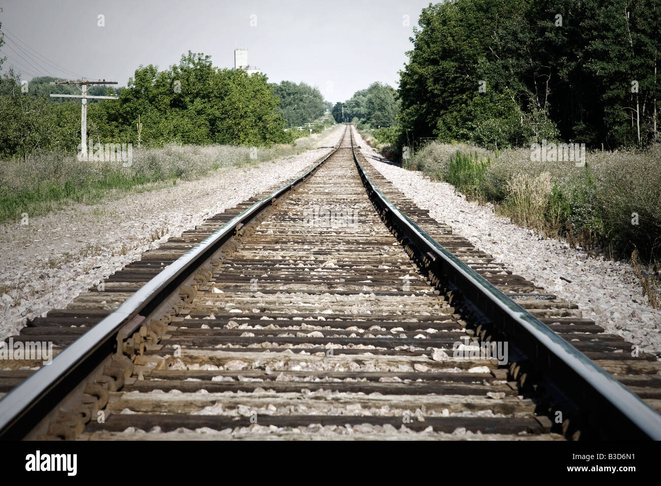 Rails fading in the distance with grass Stock Photo - Alamy